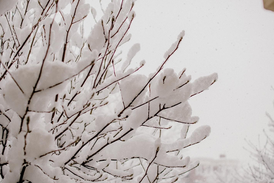 The Best Ways to Advertise Your Snow Removal Business | Ninja De-Icer